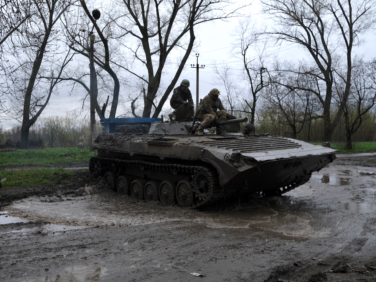 « Sasha! » – Pierre Alonso – Portfolio